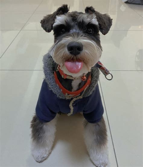 Fifi Ettoday