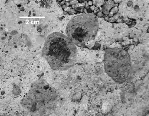 Subspherical Armored Lapilli Within An Ash Sized Matrix Loolmurwak