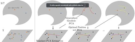 Populations Of Unlabeled Networks Graph Space Geometry And Generalized