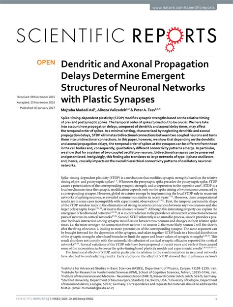 Pdf Dendritic And Axonal Propagation Delays Determine Emergent