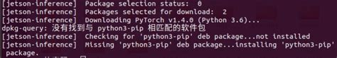 安装jetson Inference 自动下载模型，满速下载起飞，解决下载模型被墙问题inference 下载模型 Csdn博客