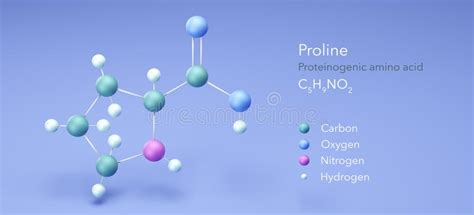 Proline Molecular Structures Proteinogenic Amino Acid 3d Model