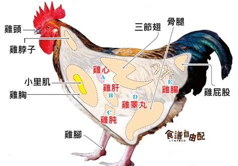 新竹市竹蓮市場