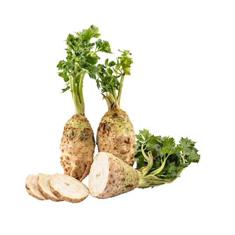 Celery Root Aenos Foods Services