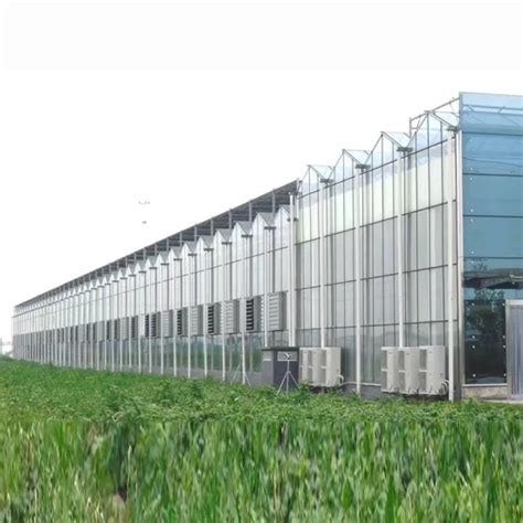 China Photovoltaic Agricultural Greenhouse With High Technology Solar