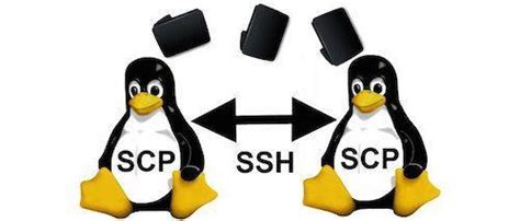 Linux传输文件夹到另一台服务器（ssh如何上传文件到服务器）尊云服务器