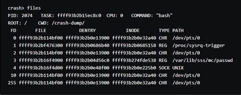 Troubleshoot Linux Kernel Panic With The Kdump Crash Tool Techtarget
