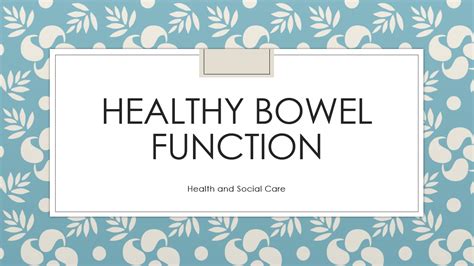 Healthy Bowel Function A Guide For Health And Care Staff