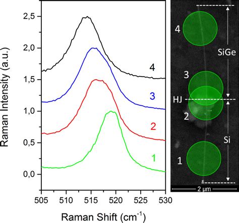 Raman Spectra Recorded At Different Positions Along The Download Scientific Diagram
