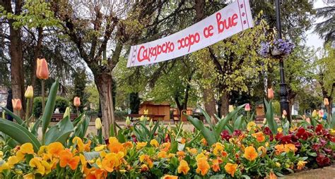 Община Тополовград