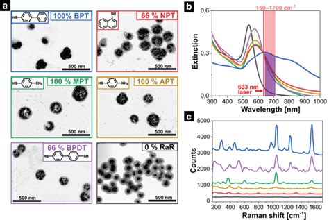 Representative A Tem Images B Uvvis Extinction Spectra And C Sers