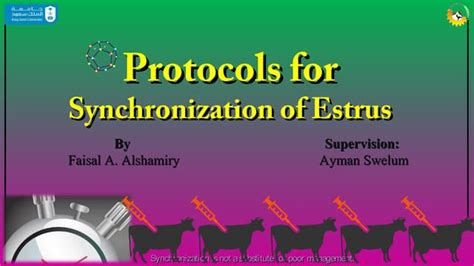 Presentation Protocols For Synchronization Of Estrus Ppt