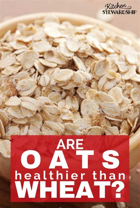 All About Soaking Grains Questions And Answers