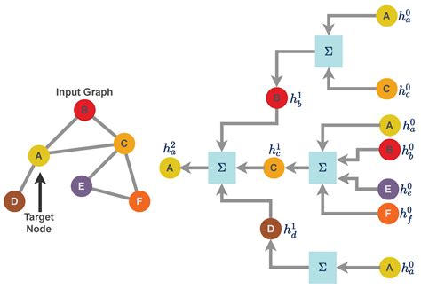 Attention Based Graph Neural Network For Label Propagation In Single Cell Omics