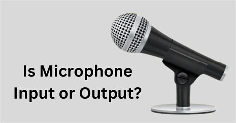 Is Microphone Input Or Output Everything You Need To Know