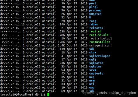 Linux安装oracle19c完整过程 Csdn博客