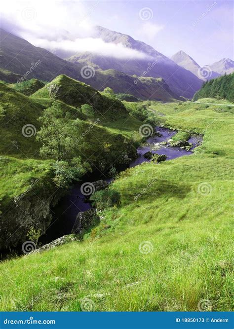 Green Grass Of A Mountain Stock Image Image Of Grass 18850173