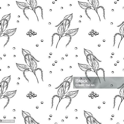 후추 향신료 완벽 한 패턴 새겨진 스케치 벡터 그림 반복되는 질감 배경 와 후추 조미료 후추 식물 식재료 요리 라벨 포장 종이 디자인 고풍스런에 대한 스톡 벡터 아트 및