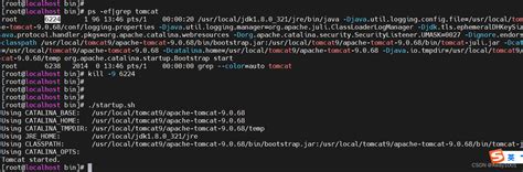 若依框架（前后端分离）打war包部署到linux若依打war包 Csdn博客