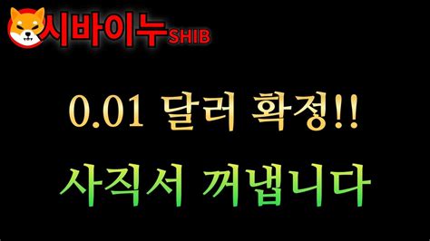 시바이누 코인 001달러 한화로 13원 확정 사직서 이제 꺼내시면 됩니다 Youtube
