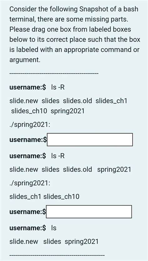 Solved Consider The Following Snapshot Of A Bash Terminal
