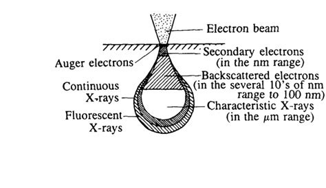 Application Of Ebsd In Sem Microscopy Application Of Ebsd In Sem Microscopy