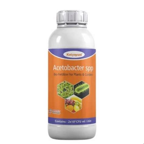 Acetobacter Nitrogen Fixing At Rs 178 Litre Microbial Biofertilizer In Bhopal Id 2853398163797
