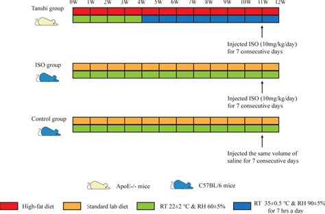 workflow of grouping and interventions download scientific diagram