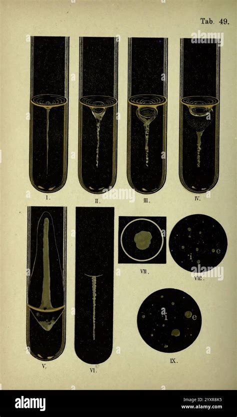 Atlas And Essentials Of Bacteriology New York 1897 Bacteria