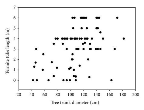 Relationship Between Tree Trunk Diameter Measured M Above The Download Scientific Diagram