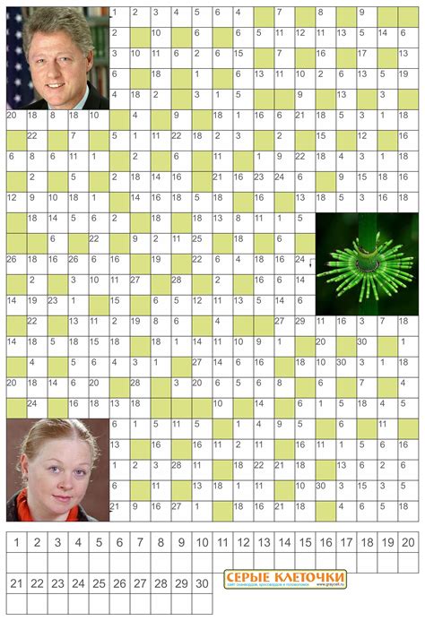 Сканворды с цифрами 14 бесплатных векторных работ для печати