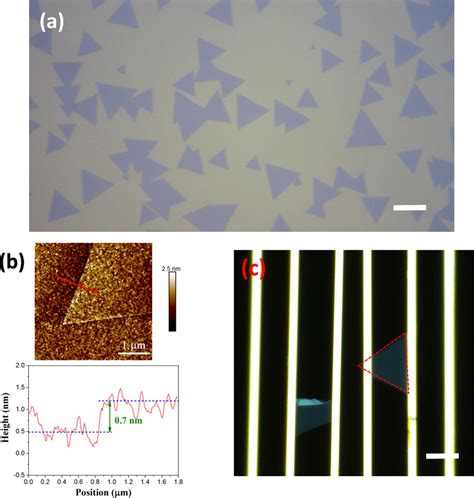 A Optical Image Of As Grown Monolayer Mos2 Flakes On Substrate B Download Scientific