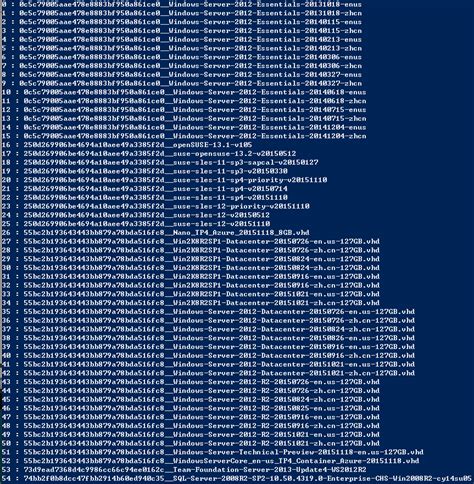 Azure China 8 使用azure Powershell创建虚拟机，并设置固定virtual Ip Address和private