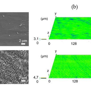 Surface Characteristics Of The Reference And The Structured Surface Download Scientific