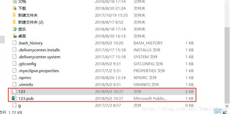 使用git创建公钥git添加公钥 Csdn博客 使用git创建公钥git添加公钥 Csdn博客
