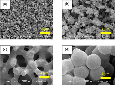 Sem Image Of Sg Sio2 Al2o3 Samples With An Alumina Content Of 4 Wt Download Scientific