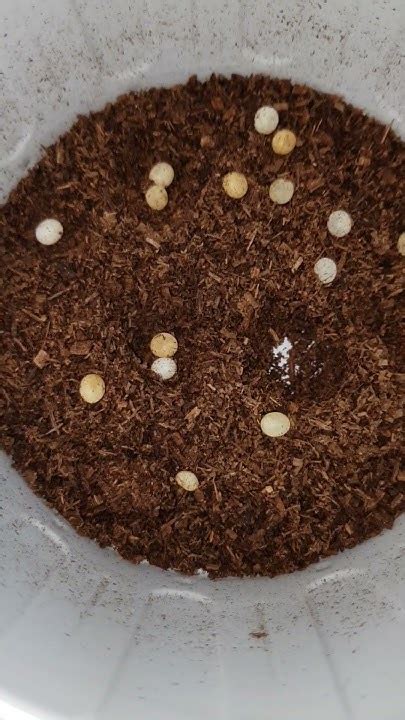 호오~~♡ 이런거 마구 받아도 되는건지 고객분께기증받은 선물을 공개해봅니다 Youtube