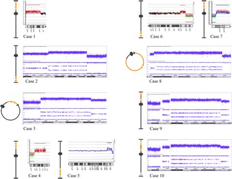 copy number profile of the inv dup dels determined by microarray