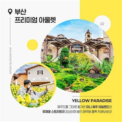 부산프리미엄아울렛 홍보 아이디어 카드 레이아웃 카드 디자인