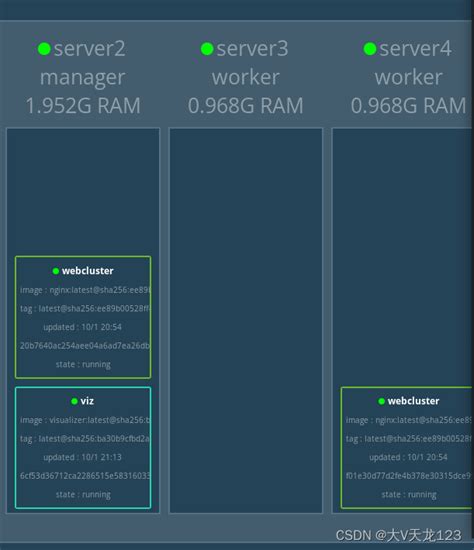 Docker十一 Docker三剑客 Docker Swarmdocker Swarm Pod Csdn博客