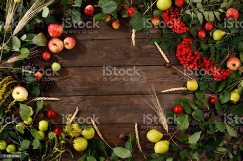 가을 과일 사과와 배 나무 배경의 프레임입니다 공간을 복사합니다 수확 개념입니다 가을에 대한 스톡 사진 및 기타 이미지 가을 가을 단풍 개념 Istock