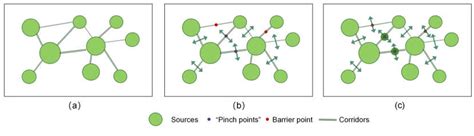 Principles Of Ecological Network Optimization Aconstruction Of Download Scientific Diagram