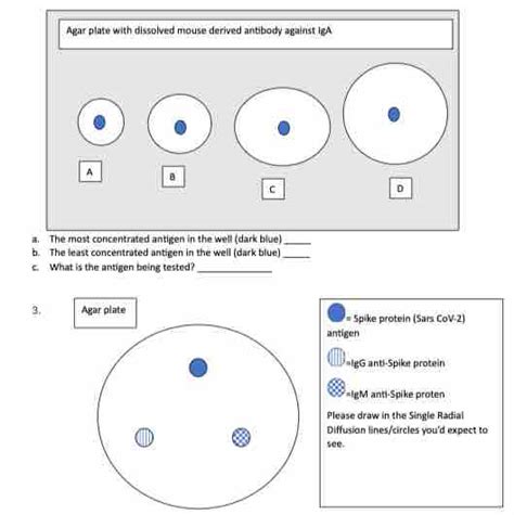 Solved Assignment 6single Radial Diffusion Is A Quanitative