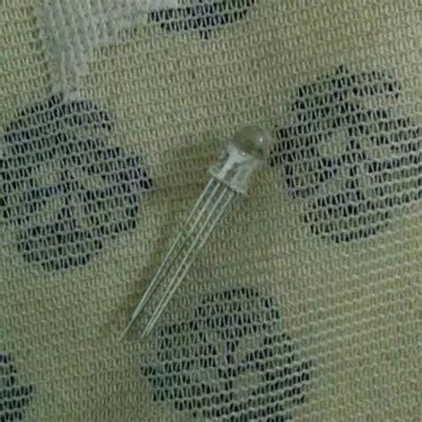 Mm RGB LED Common Anode At Piece Tri Color LED In New Delhi ID