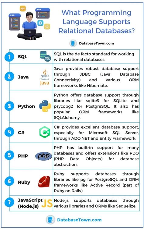 What Programming Language Supports Relational Databases