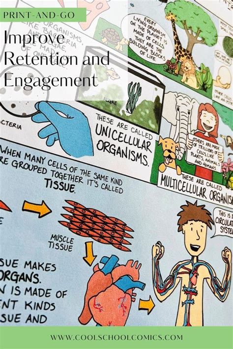 140 Best Visual Learning Strategies Ideas In 2025 Visual Learning Strategies Visual Learning