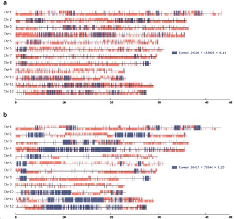 Comparison Of Graphical Genotype Of Snps Detected Bwa Gatk And Download Scientific Diagram