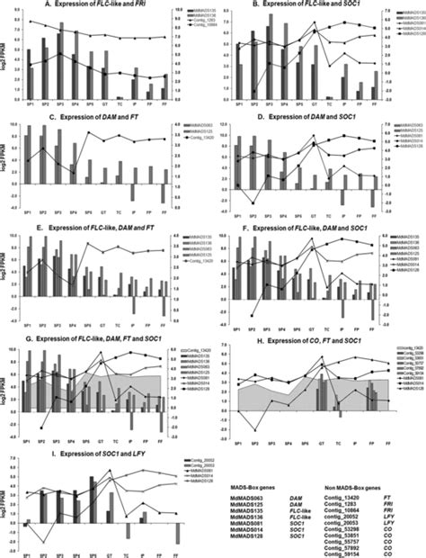 Comparative Expression Profile Analysis Of Genes Involved In Floral Download Scientific Diagram