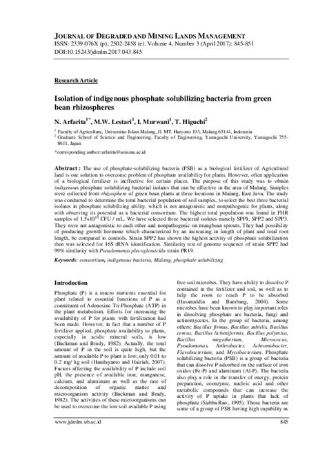 Pdf Isolation Of Indigenous Bacteria Of Phosphate Solubilizing From Green Bean Rhizospheres