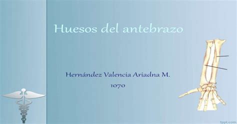 Huesos Del Antebrazo Pdf Document